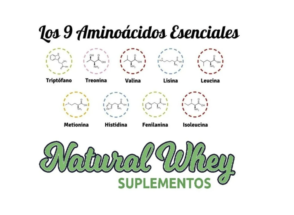 Tienda – Página 7 – Natural Whey Suplementos